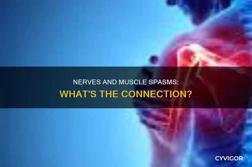 Nerves And Muscle Spasms: What's The Connection? | CyVigor