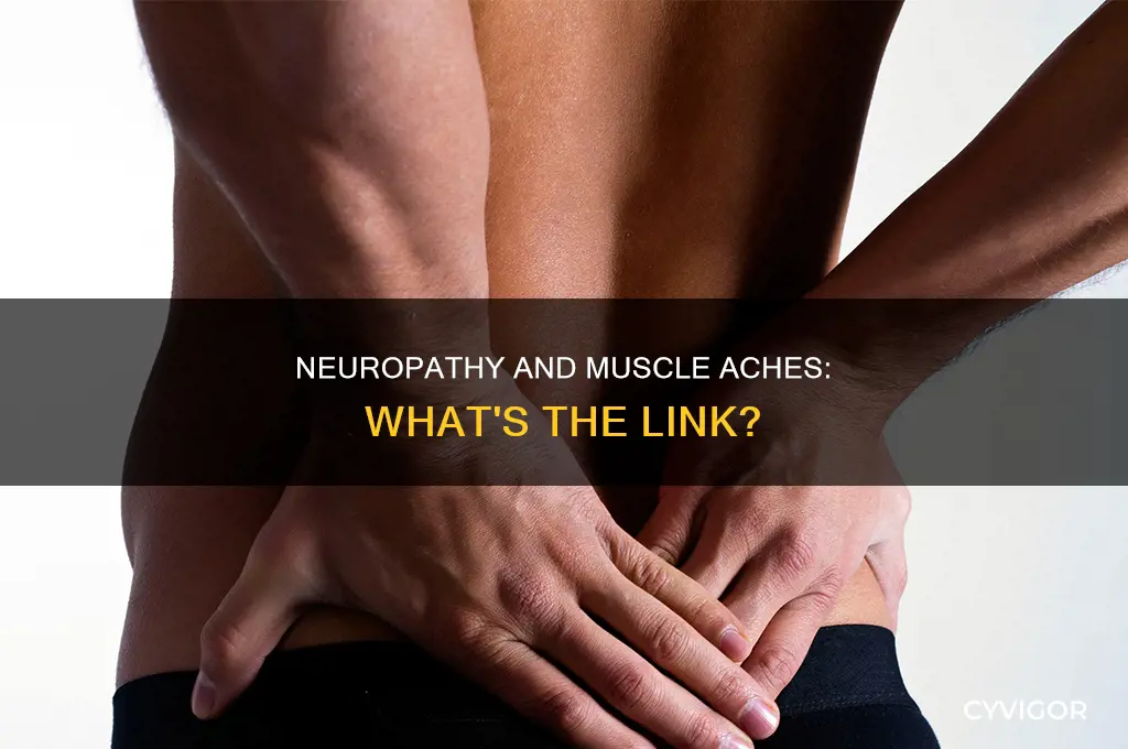 Neuropathy And Muscle Aches: What's The Link? | CyVigor