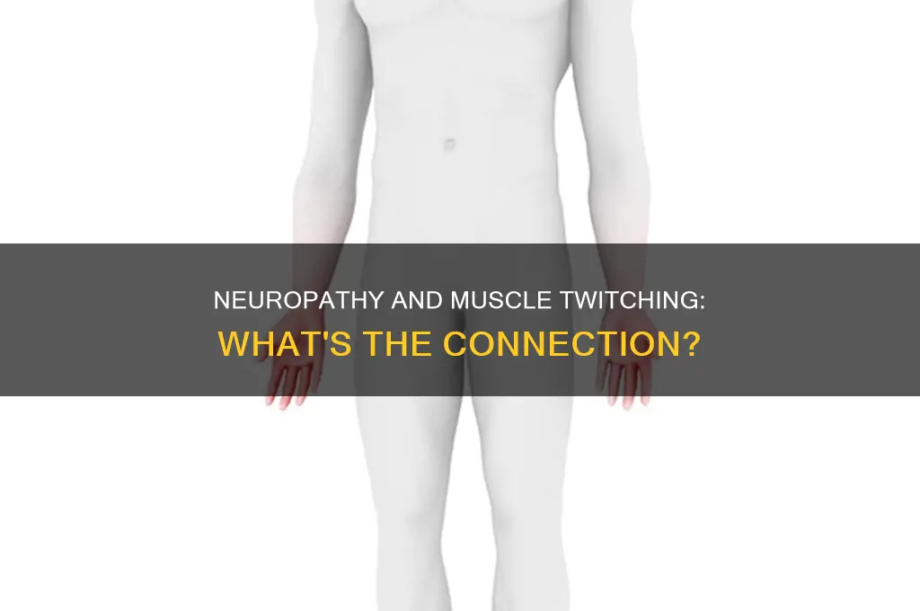 Neuropathy And Muscle Twitching: What's The Connection? | CyVigor