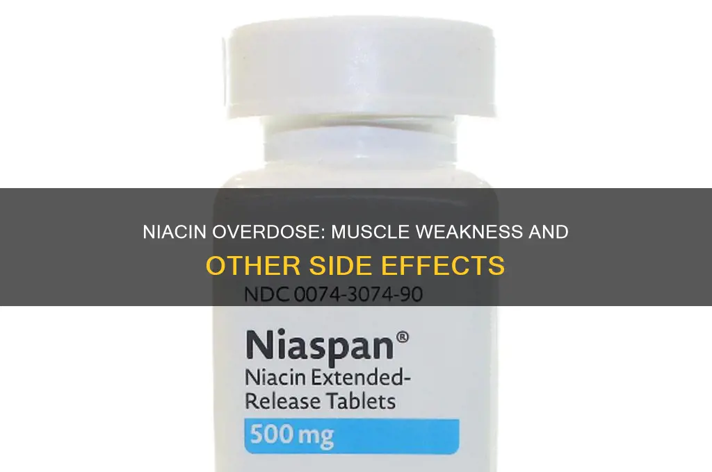 Niacin Overdose: Muscle Weakness And Other Side Effects | CyVigor