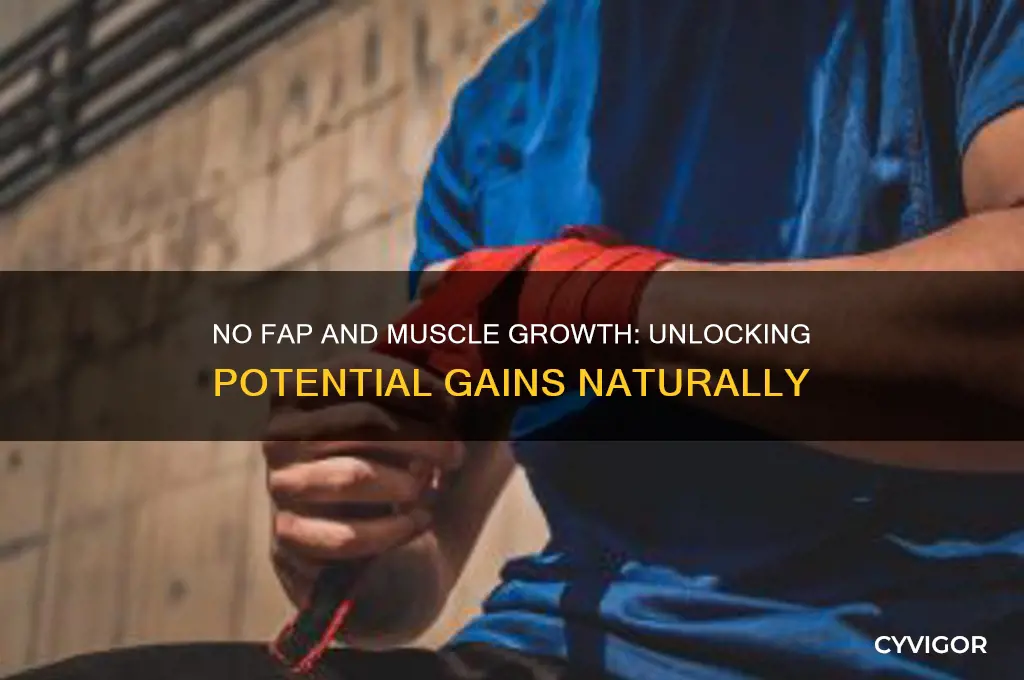 No Fap And Muscle Growth: Unlocking Potential Gains Naturally | CyVigor