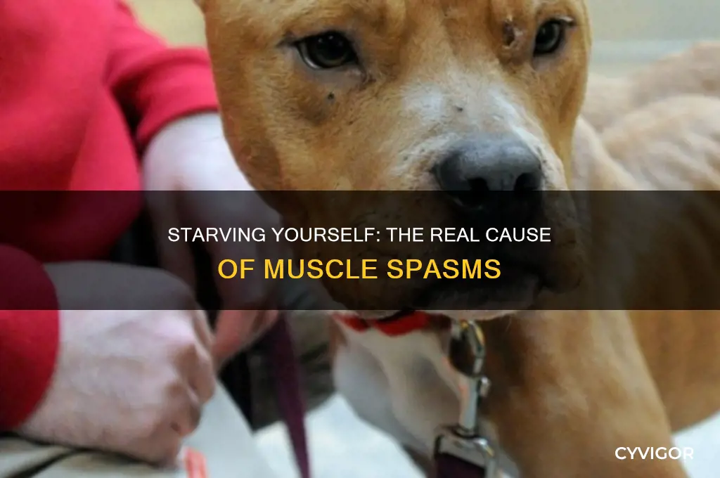Starving Yourself: The Real Cause Of Muscle Spasms | CyVigor