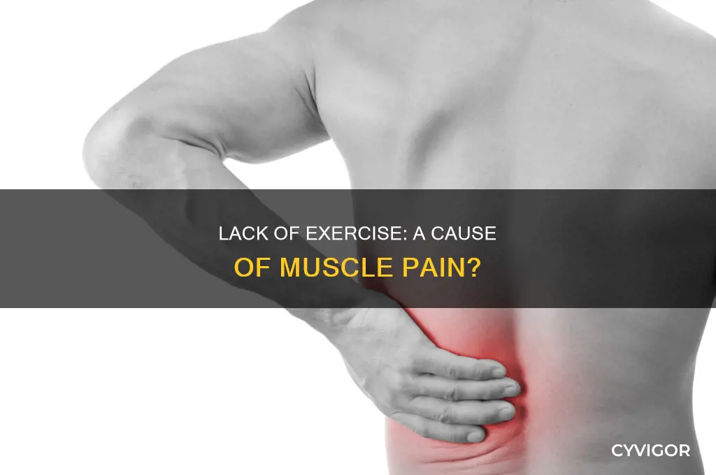 Lack Of Exercise: A Cause Of Muscle Pain? | CyVigor