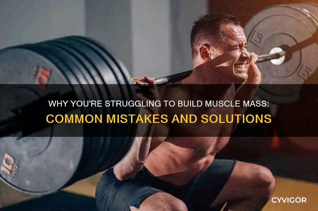 Why You're Struggling To Build Muscle Mass: Common Mistakes And ...