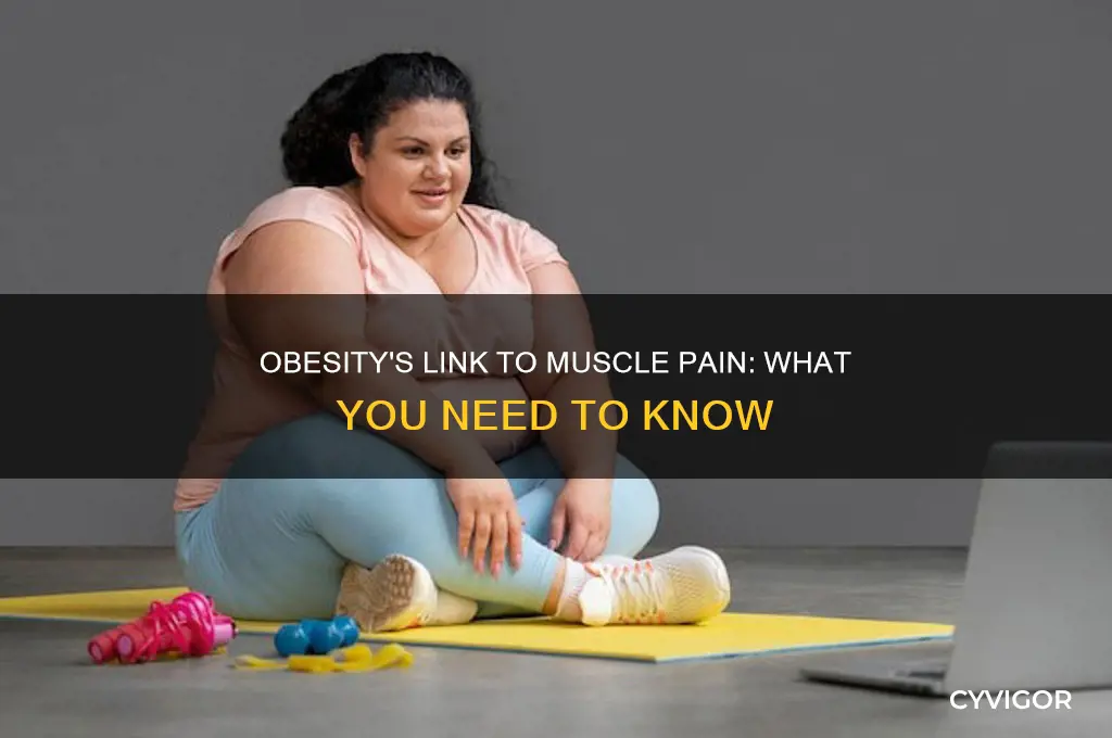 Obesity's Link To Muscle Pain: What You Need To Know | CyVigor