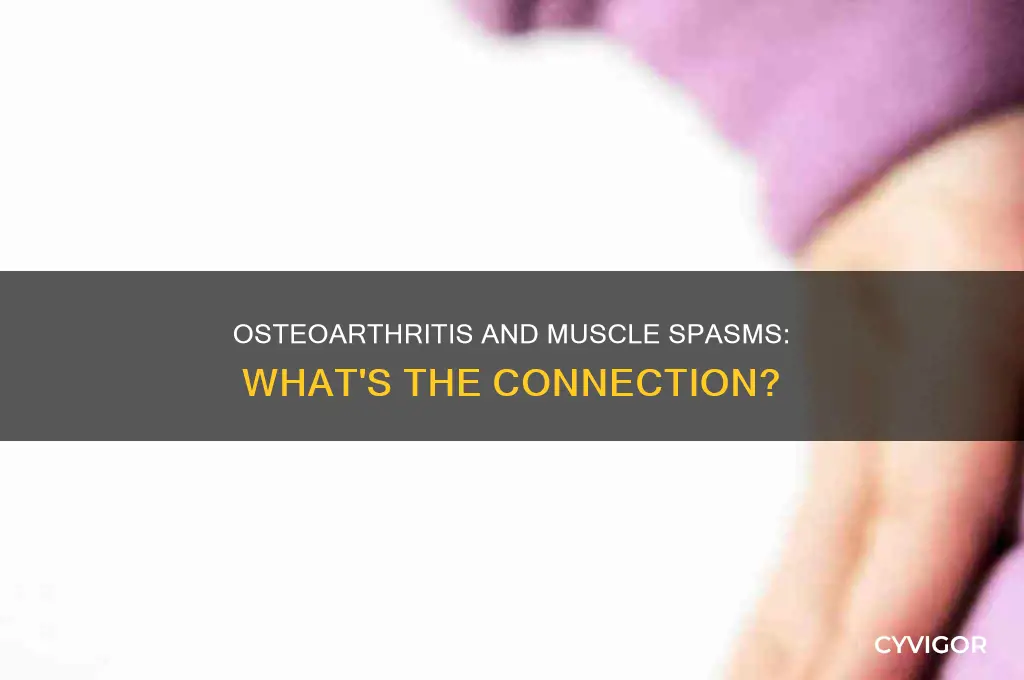 Osteoarthritis And Muscle Spasms: What's The Connection? | CyVigor