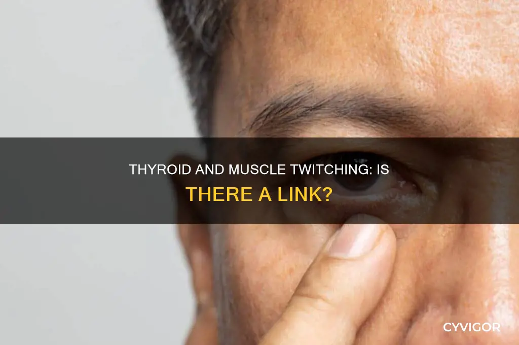 Thyroid And Muscle Twitching: Is There A Link? | CyVigor