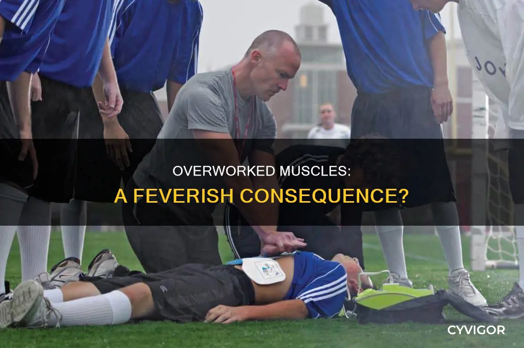 Overworked Muscles: A Feverish Consequence? | CyVigor