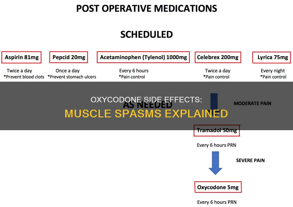 Oxycodone Side Effects: Muscle Spasms Explained | CyVigor