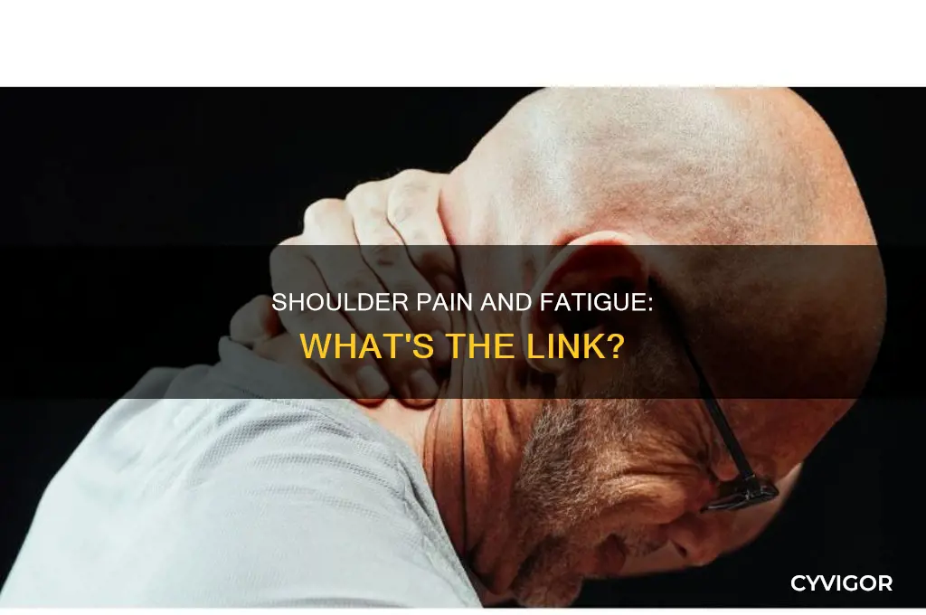 Shoulder Pain And Fatigue: What's The Link? | CyVigor
