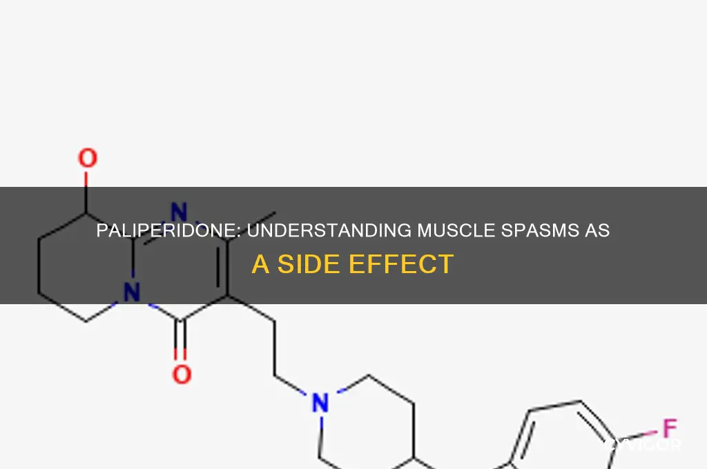 Paliperidone: Understanding Muscle Spasms As A Side Effect | CyVigor
