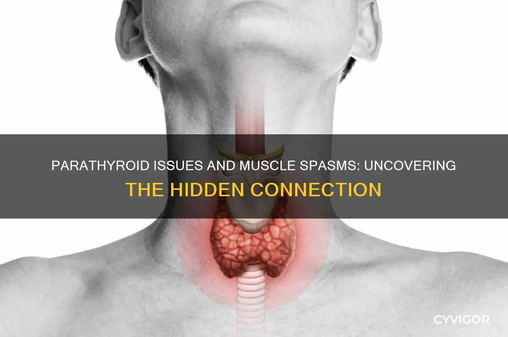 Parathyroid Issues And Muscle Spasms: Uncovering The Hidden Connection ...