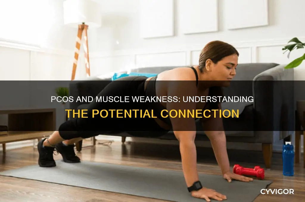 Pcos And Muscle Weakness: Understanding The Potential Connection | CyVigor