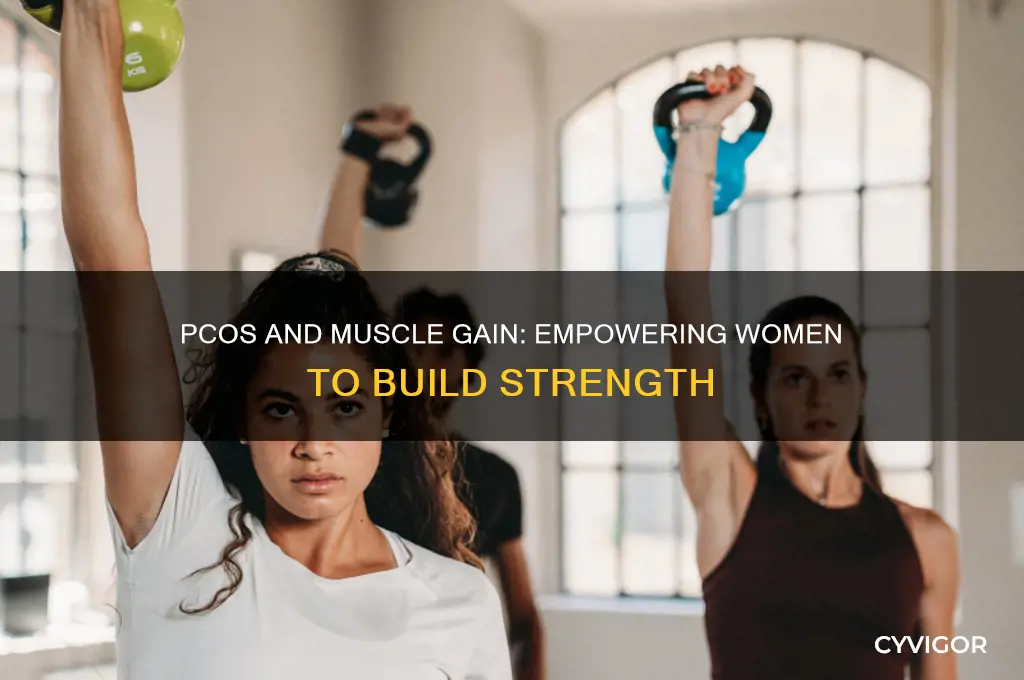 Pcos And Muscle Gain: Empowering Women To Build Strength | CyVigor