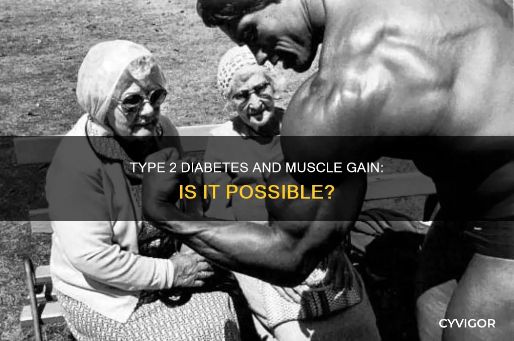 Type 2 Diabetes And Muscle Gain: Is It Possible? | CyVigor