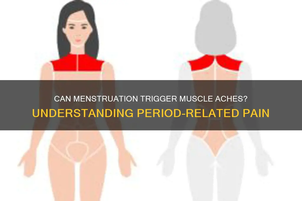 Can Menstruation Trigger Muscle Aches? Understanding Period-Related ...