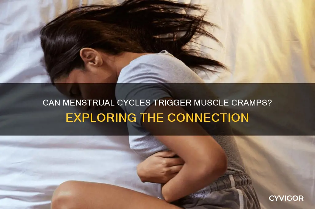 Can Menstrual Cycles Trigger Muscle Cramps? Exploring The Connection ...