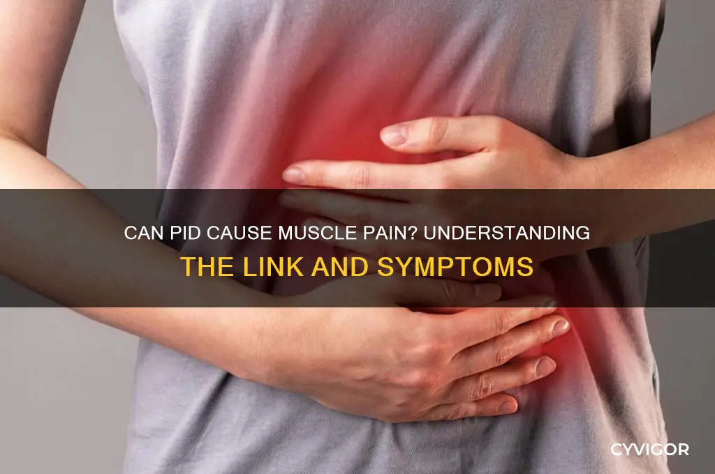 Can Pid Cause Muscle Pain? Understanding The Link And Symptoms | CyVigor