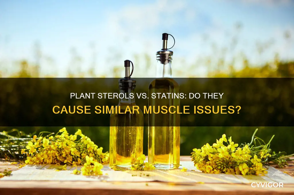 Plant Sterols Vs. Statins: Do They Cause Similar Muscle Issues? | CyVigor