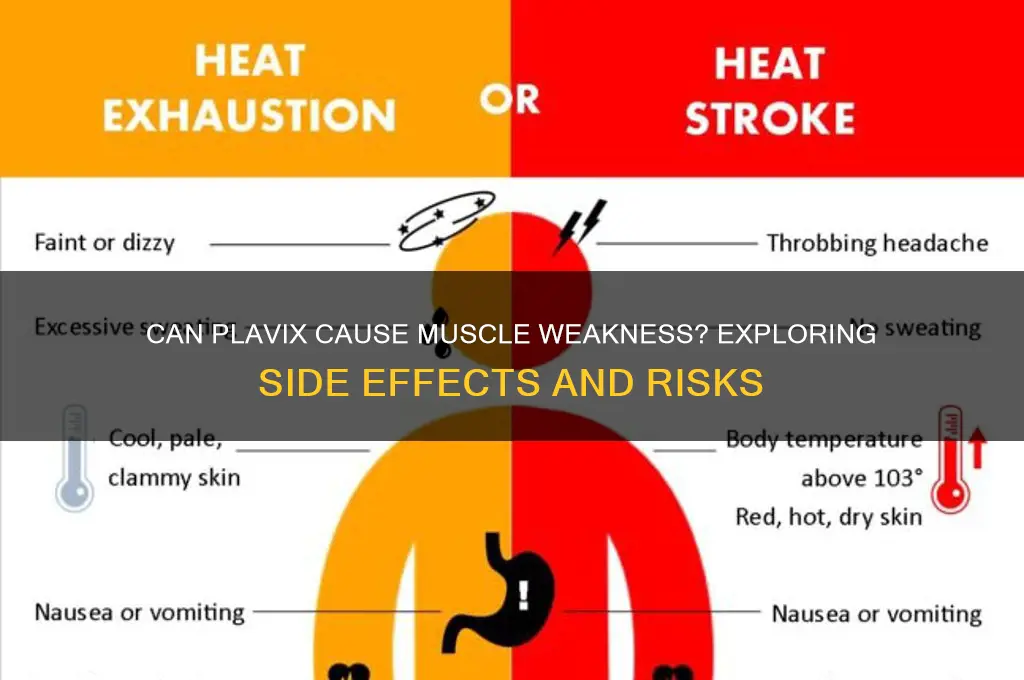 Can Plavix Cause Muscle Weakness? Exploring Side Effects And Risks ...