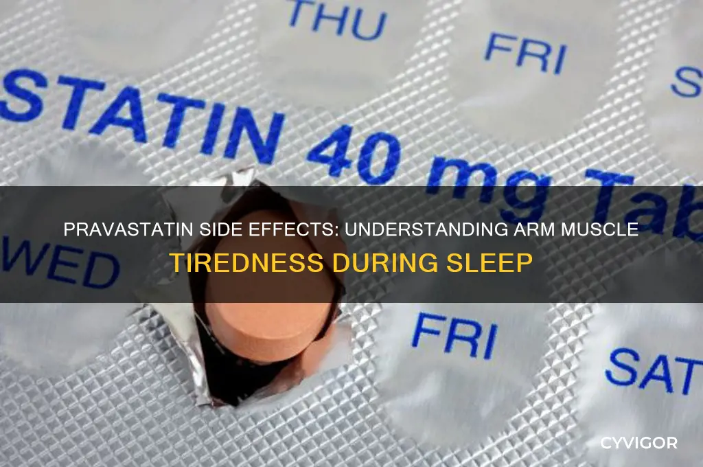 Pravastatin Side Effects: Understanding Arm Muscle Tiredness During ...