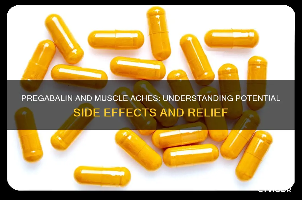 Pregabalin And Muscle Aches: Understanding Potential Side Effects And ...