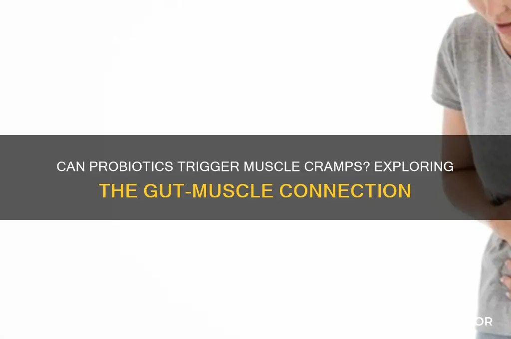 Can Probiotics Trigger Muscle Cramps? Exploring The Gut-Muscle ...