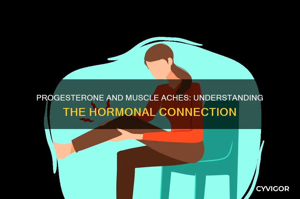 Progesterone And Muscle Aches: Understanding The Hormonal Connection ...