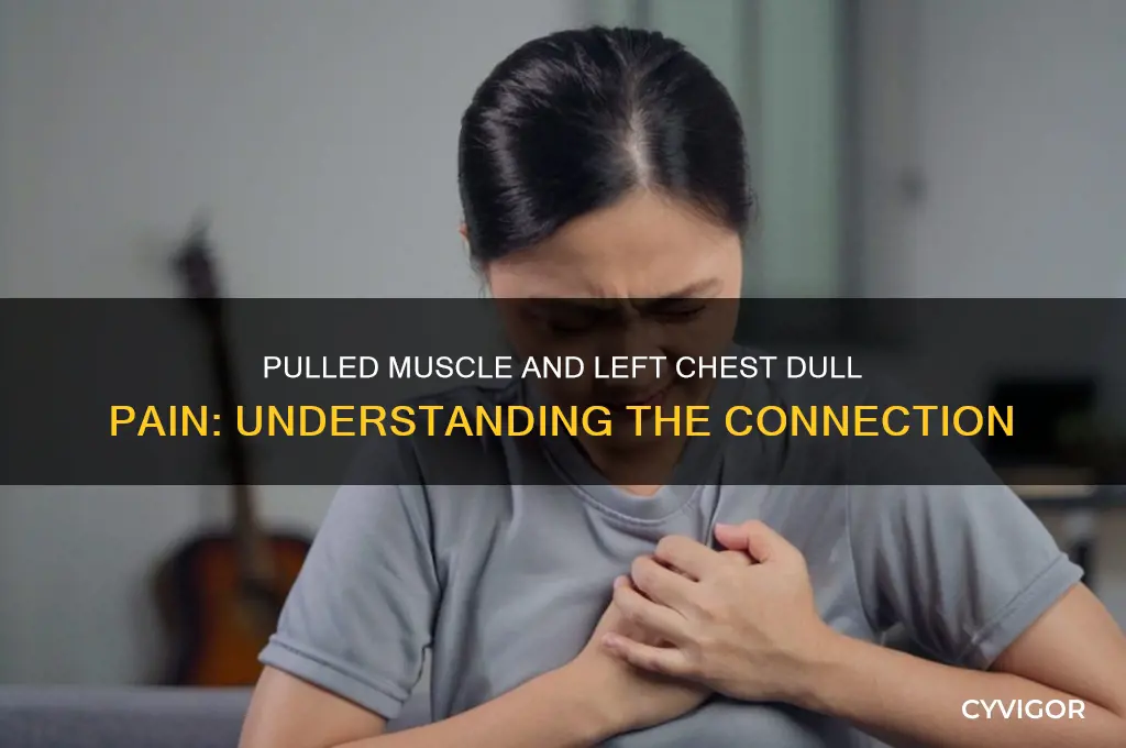 Pulled Muscle And Left Chest Dull Pain: Understanding The Connection ...