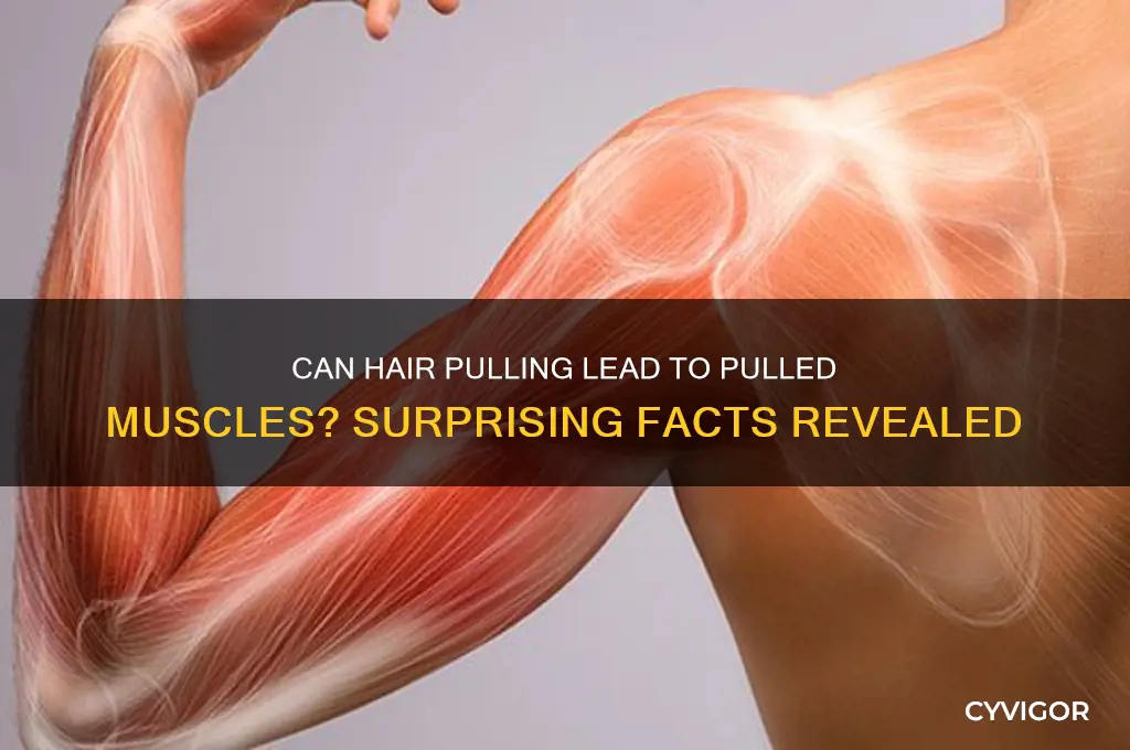 Can Hair Pulling Lead To Pulled Muscles? Surprising Facts Revealed ...
