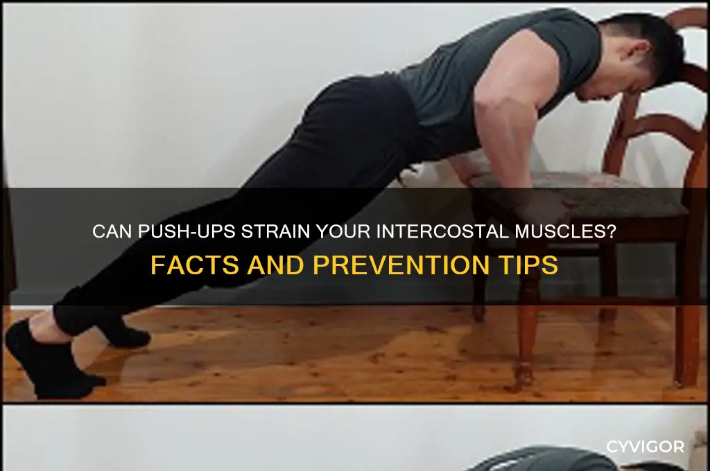 Can Push-Ups Strain Your Intercostal Muscles? Facts And Prevention Tips ...