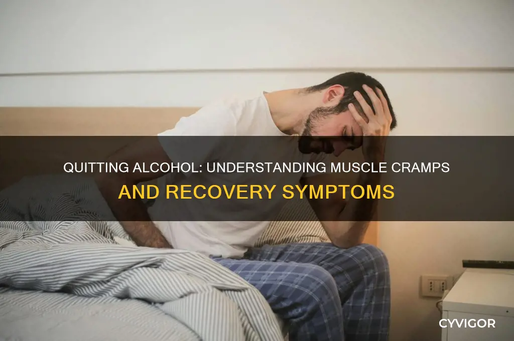 Quitting Alcohol: Understanding Muscle Cramps And Recovery Symptoms ...