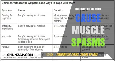 Quad Muscle Imbalance: A Hidden Culprit Behind Knee Pain? | CyVigor