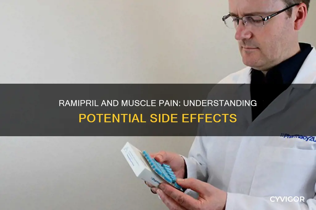 Ramipril And Muscle Pain: Understanding Potential Side Effects | CyVigor
