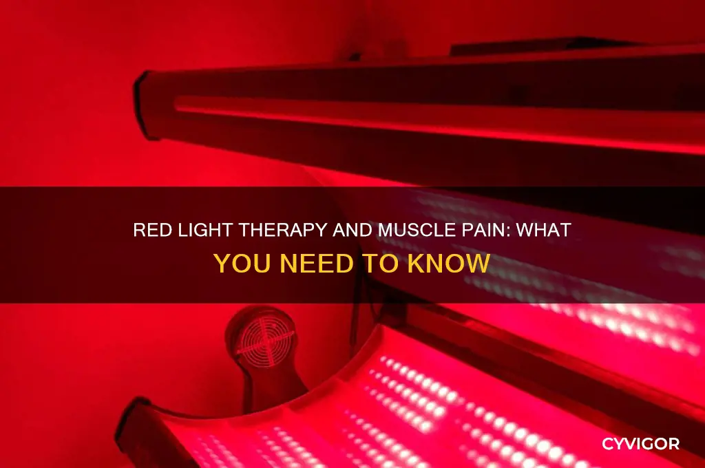 Red Light Therapy And Muscle Pain: What You Need To Know | CyVigor