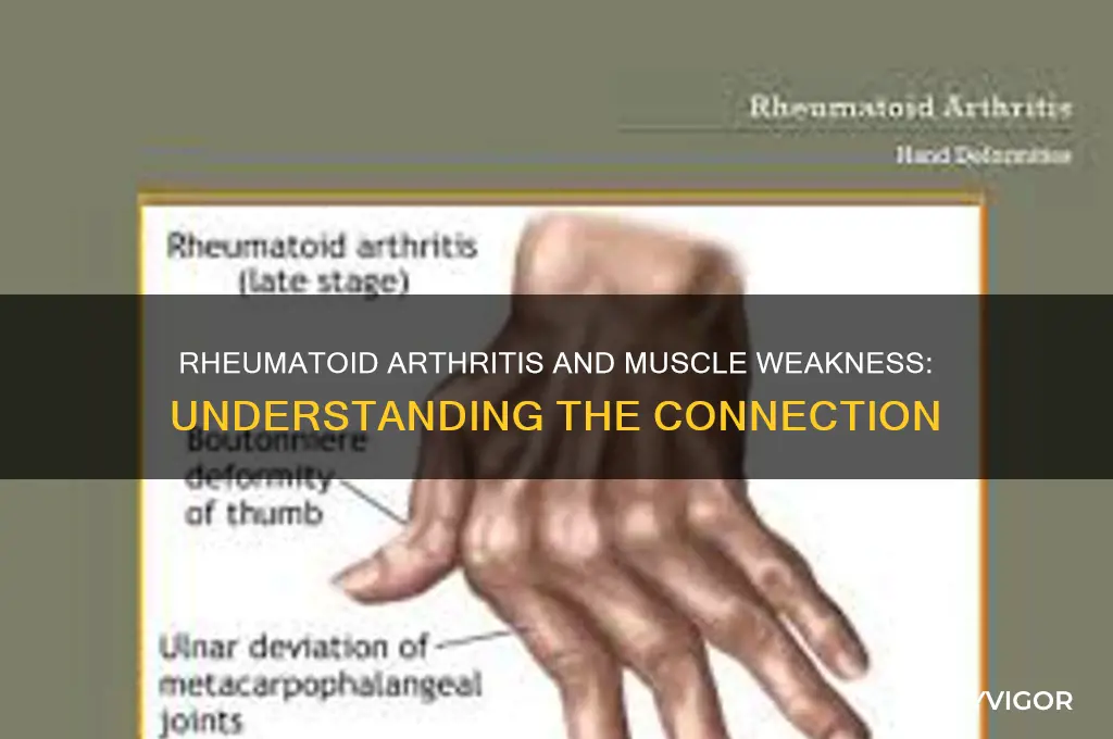 Rheumatoid Arthritis And Muscle Weakness: Understanding The Connection ...