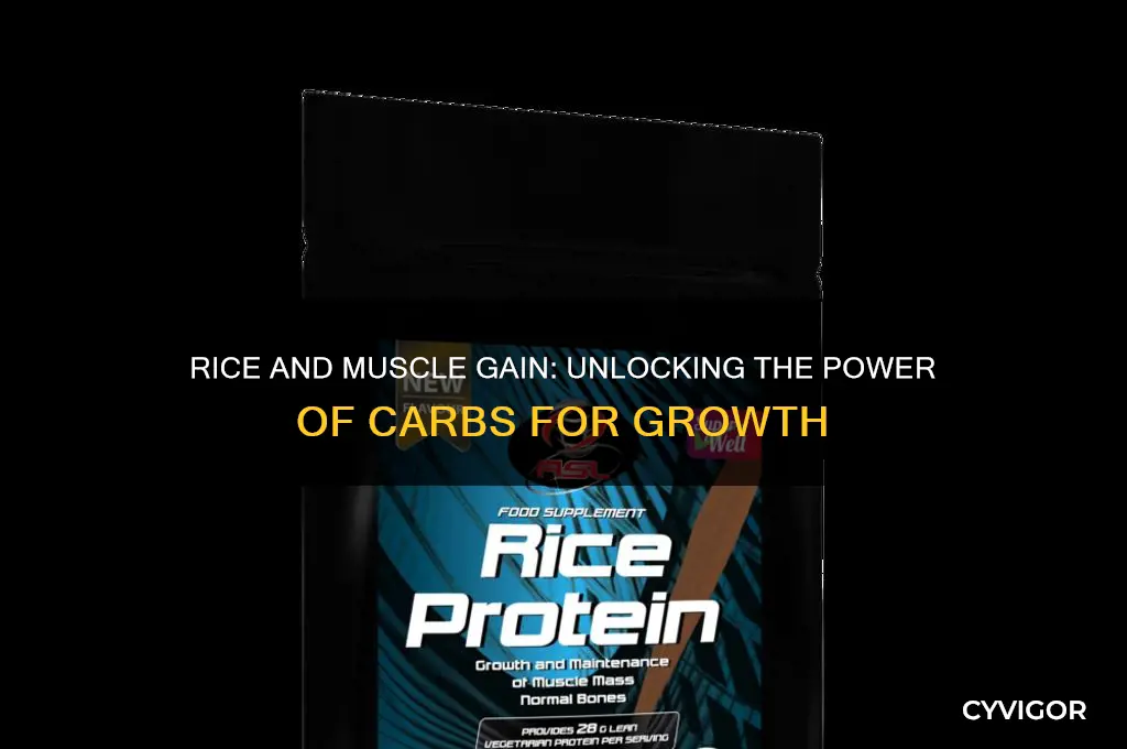 Rice And Muscle Gain: Unlocking The Power Of Carbs For Growth | CyVigor