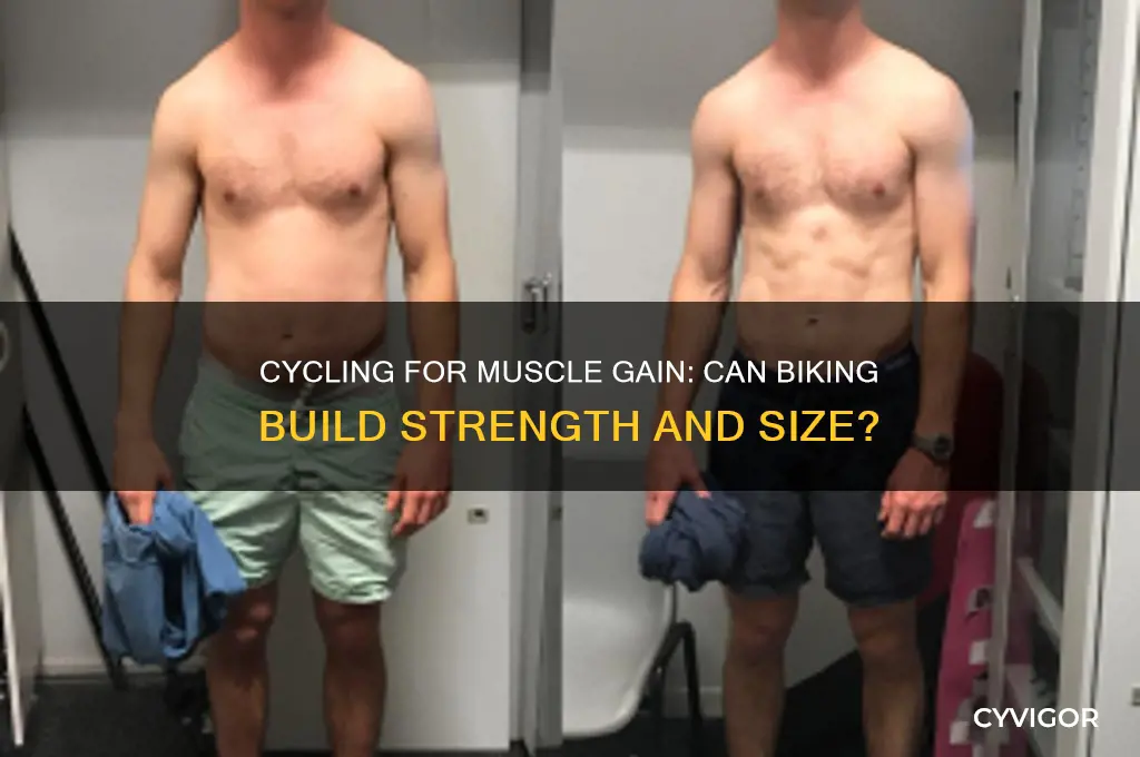 Cycling For Muscle Gain: Can Biking Build Strength And Size? | CyVigor