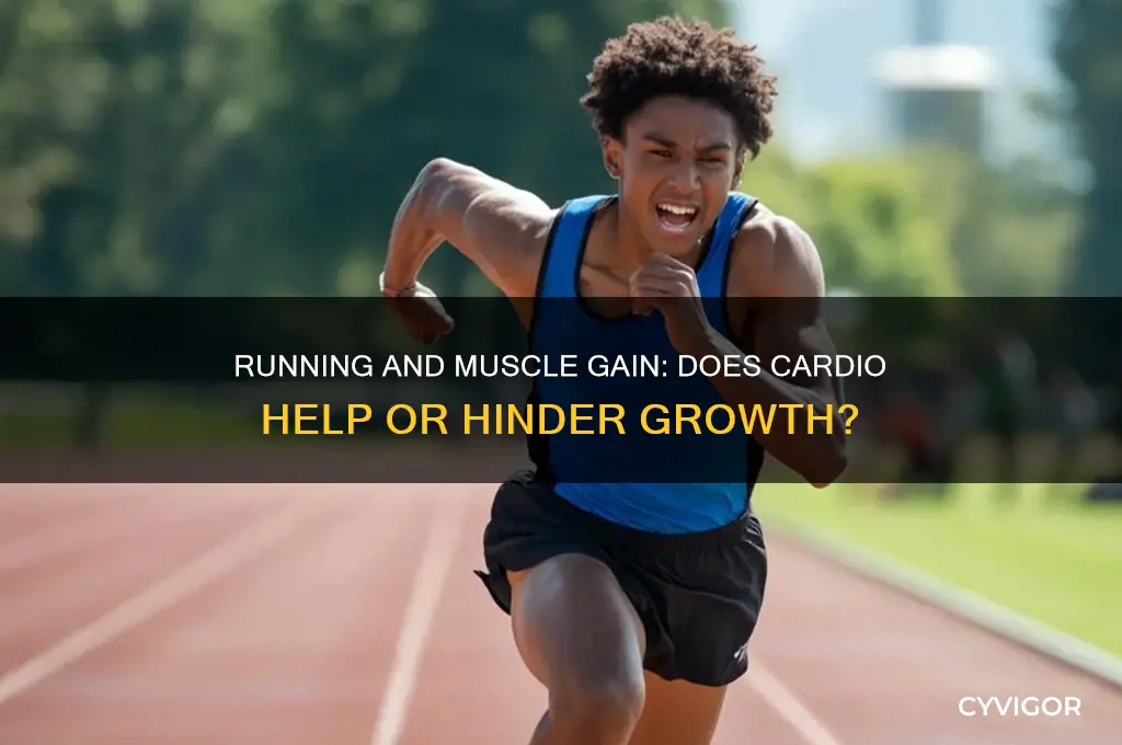 Running And Muscle Gain: Does Cardio Help Or Hinder Growth? | CyVigor