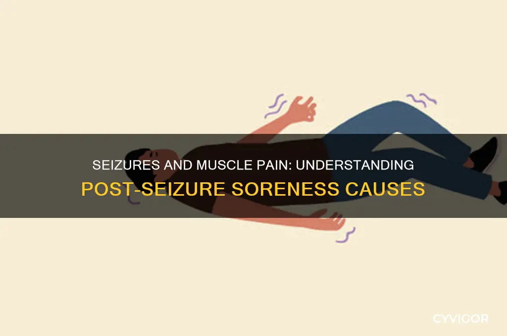 Seizures And Muscle Pain: Understanding Post-Seizure Soreness Causes ...