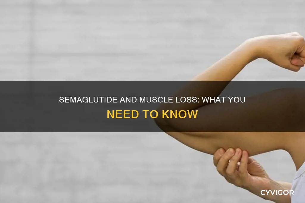 Semaglutide And Muscle Loss: What You Need To Know | CyVigor