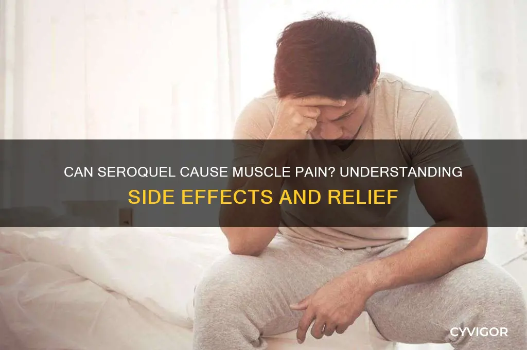 Can Seroquel Cause Muscle Pain? Understanding Side Effects And Relief ...