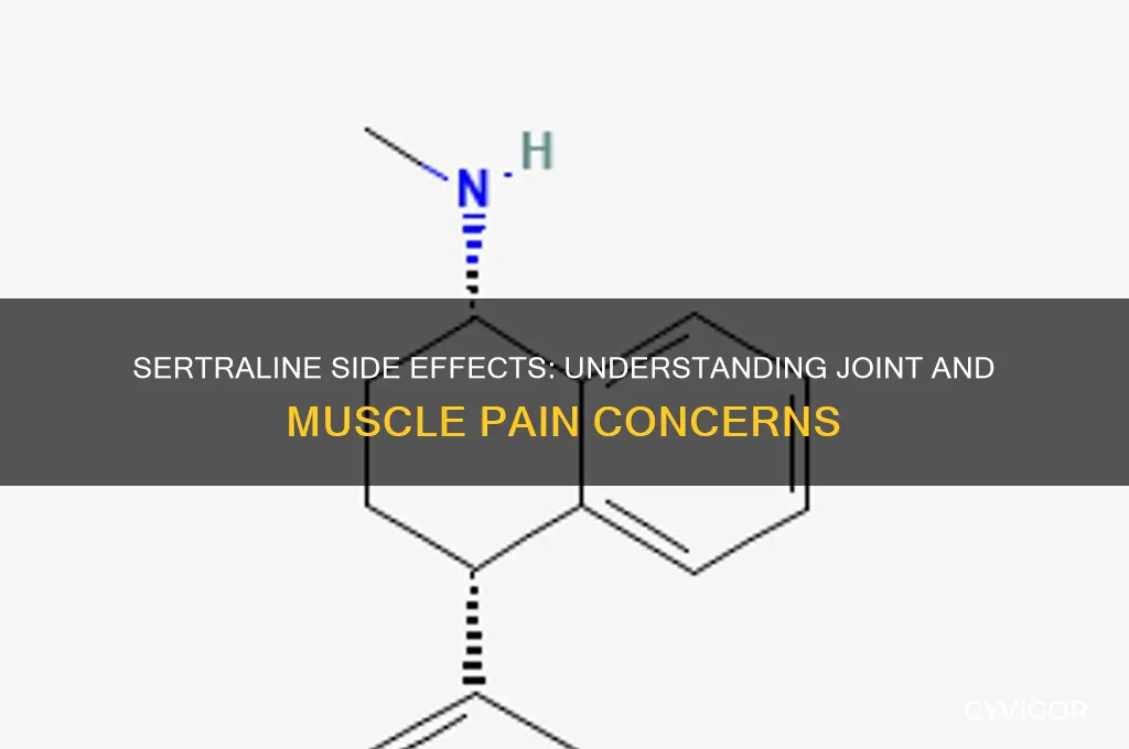Sertraline Side Effects: Understanding Joint And Muscle Pain Concerns ...