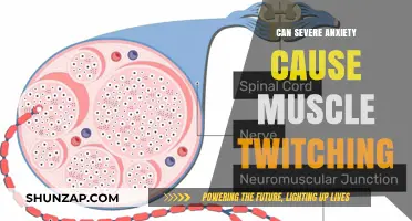 Severe Anxiety And Muscle Spasms: Understanding The Mind-Body ...