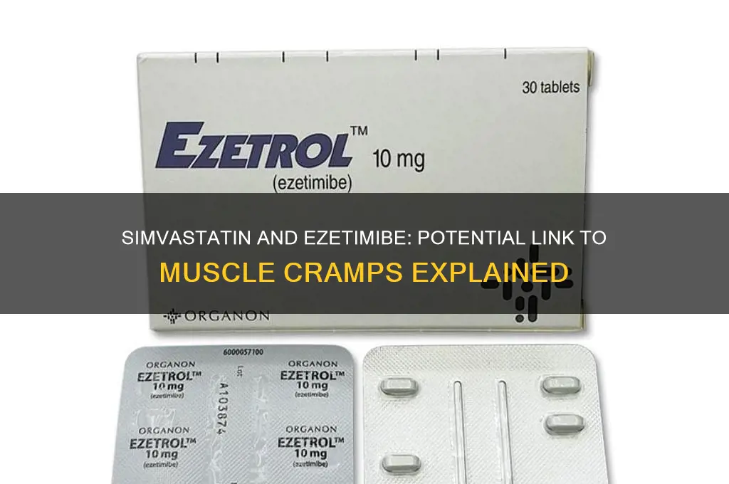 Simvastatin And Ezetimibe: Potential Link To Muscle Cramps Explained ...
