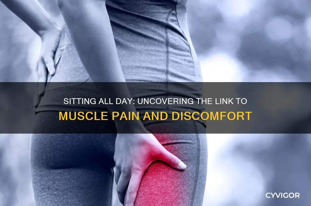 Sitting All Day: Uncovering The Link To Muscle Pain And Discomfort ...