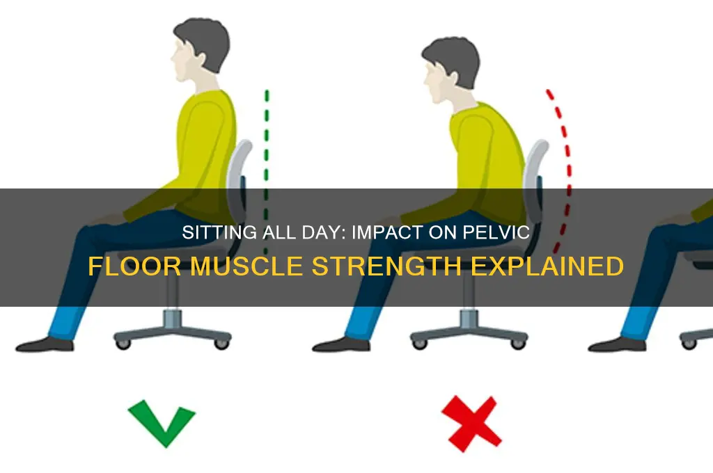 Sitting All Day: Impact On Pelvic Floor Muscle Strength Explained | CyVigor