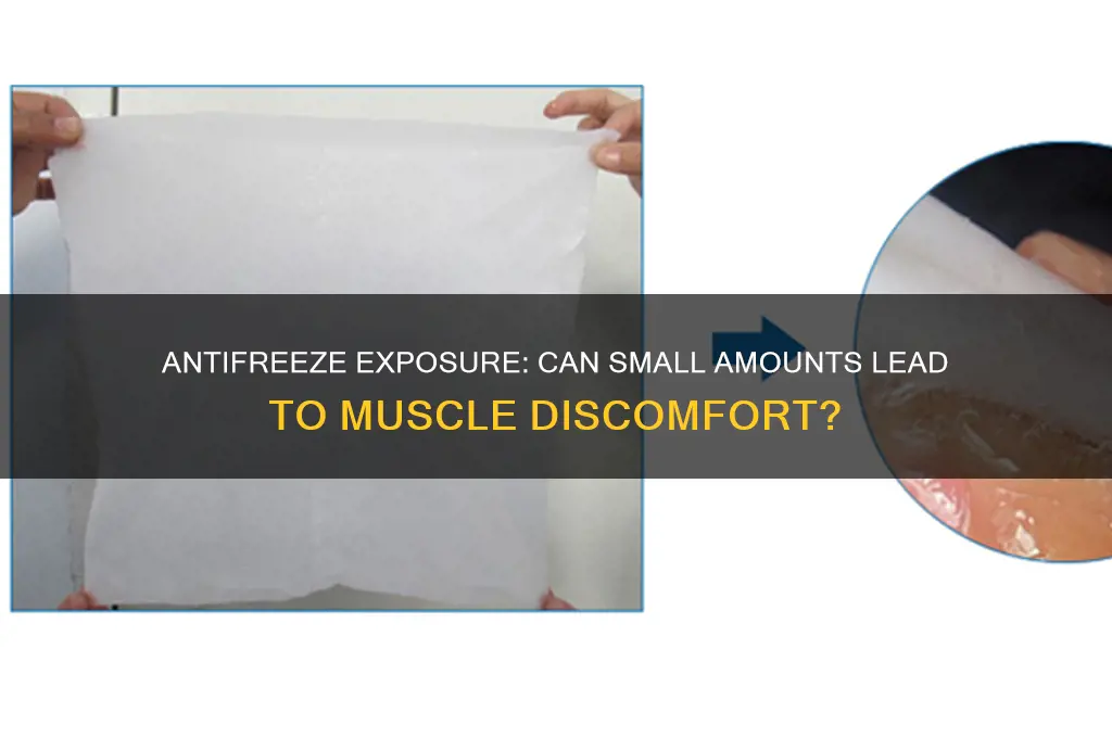 Antifreeze Exposure: Can Small Amounts Lead To Muscle Discomfort? | CyVigor