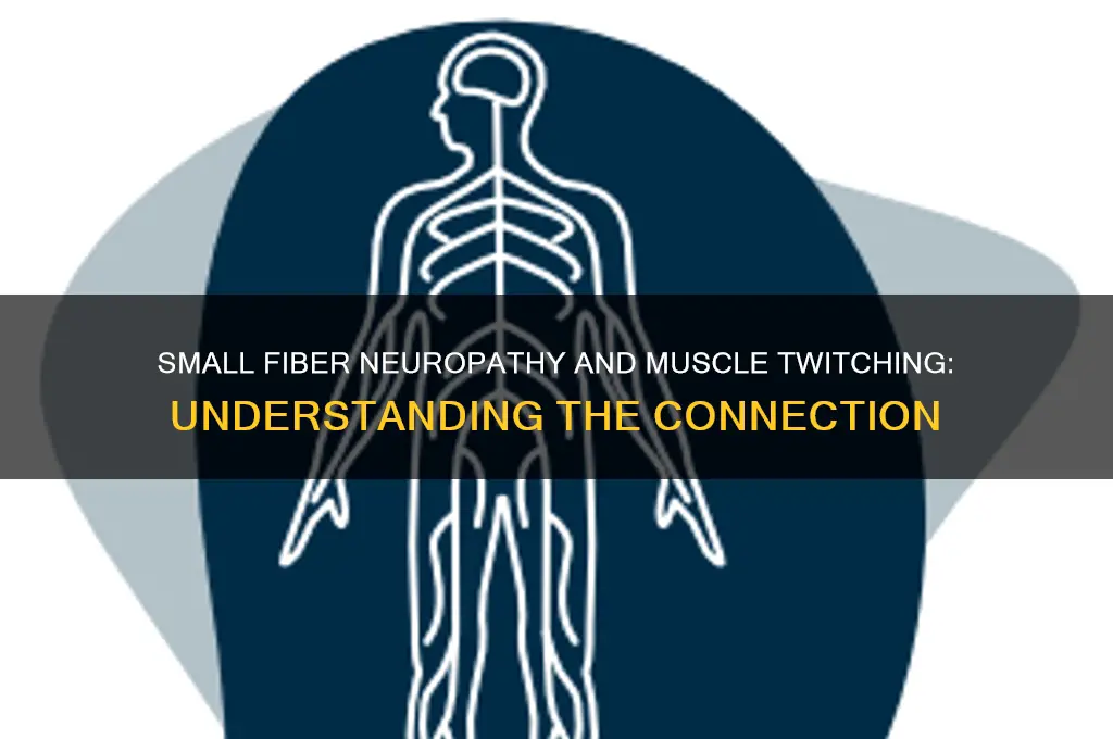 Small Fiber Neuropathy And Muscle Twitching: Understanding The ...