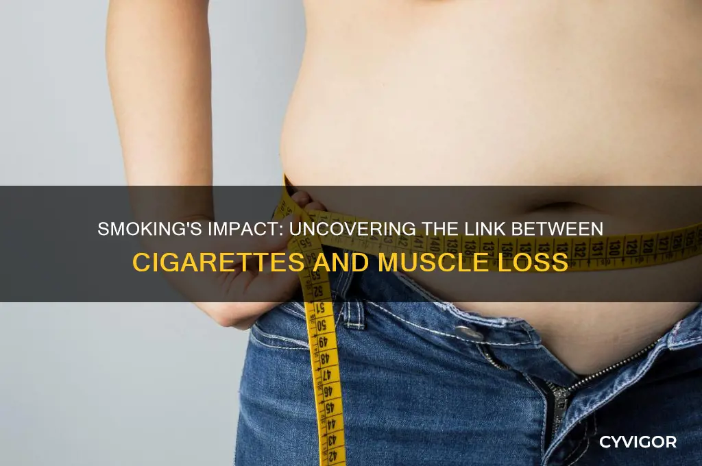 Smoking's Impact: Uncovering The Link Between Cigarettes And Muscle ...
